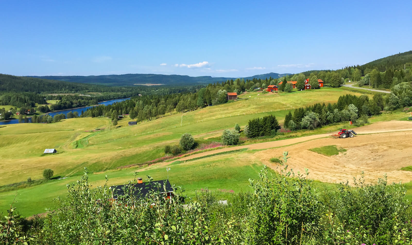 Get started with your Biogas Project with IGF Biogas