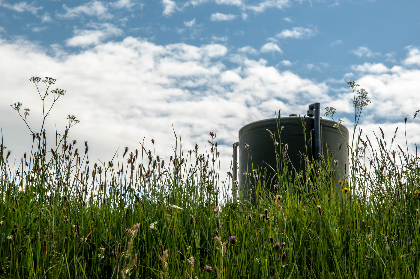 Biogas for Food Producers – A sustainable solution